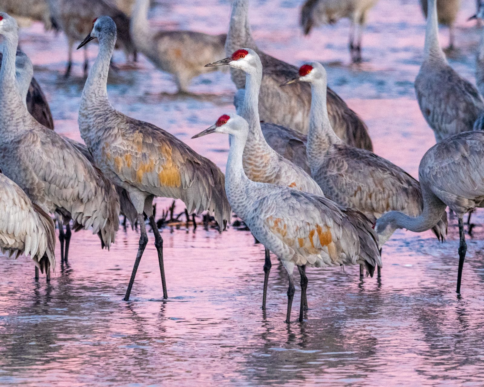 Guided Tours - Visit Kearney Nebraska